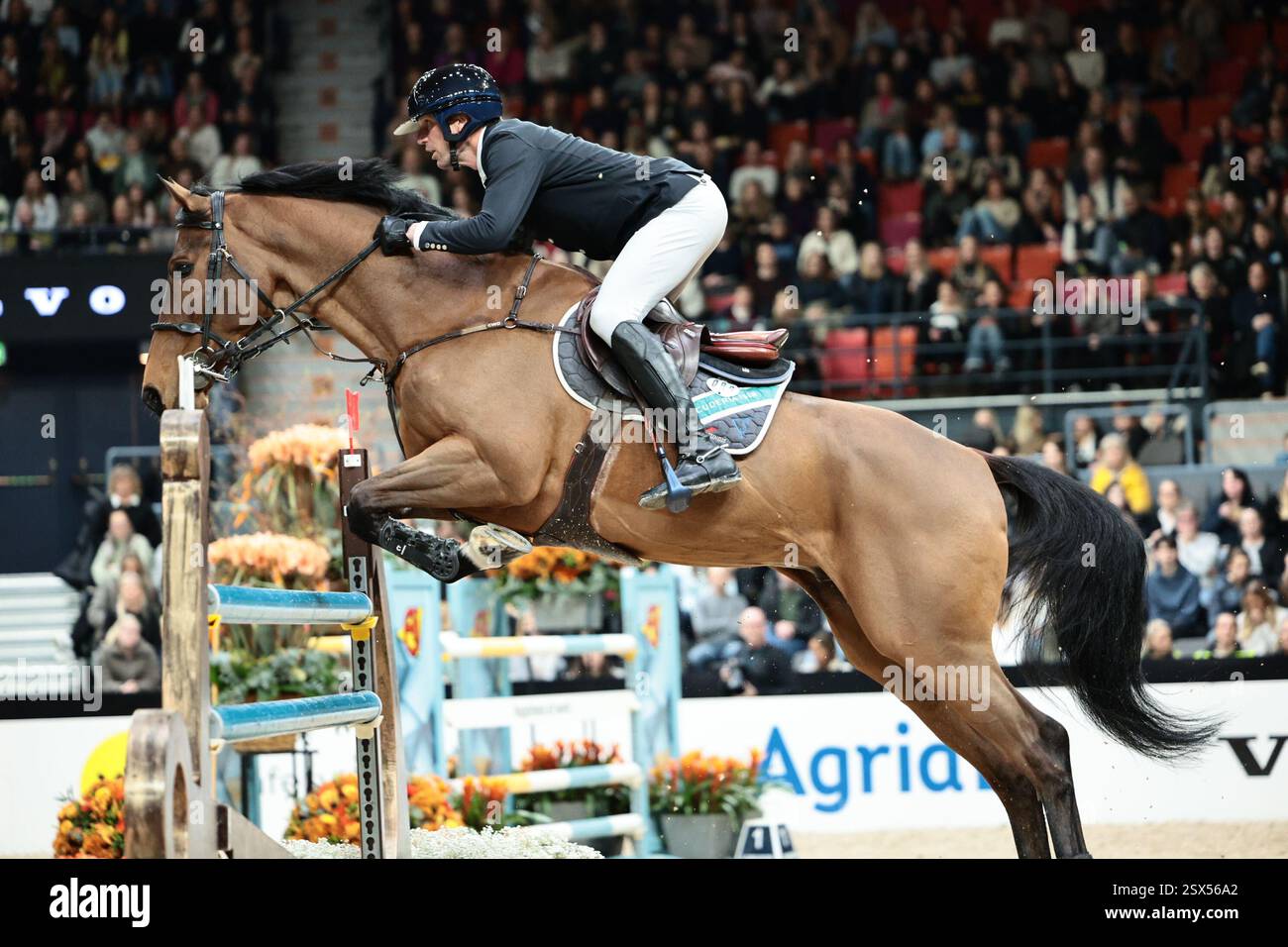 Kevin Staut of France with New Libero One d'Asschaut during the ...