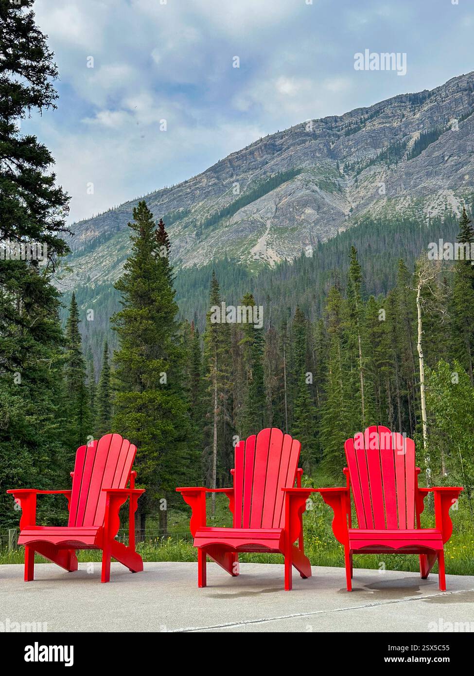 Parks Canada red adirondack chairs with forest and mountain in ...