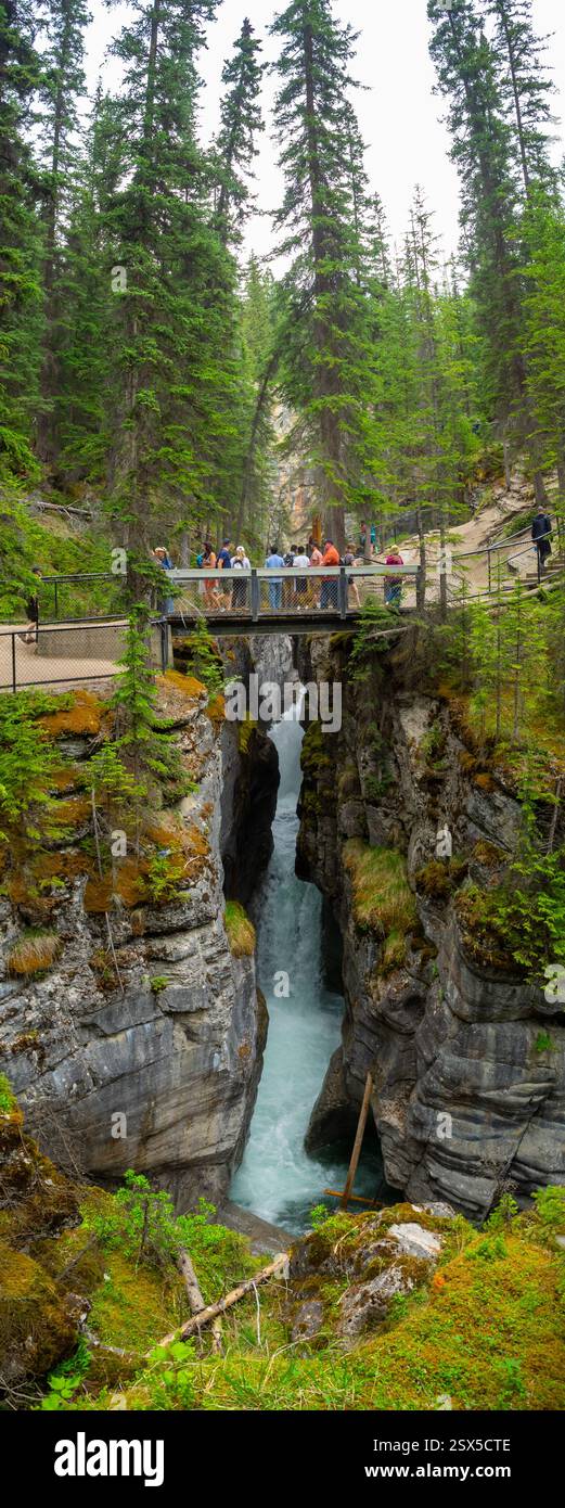 Bridge over canyon rocky mountains hi-res stock photography and images ...