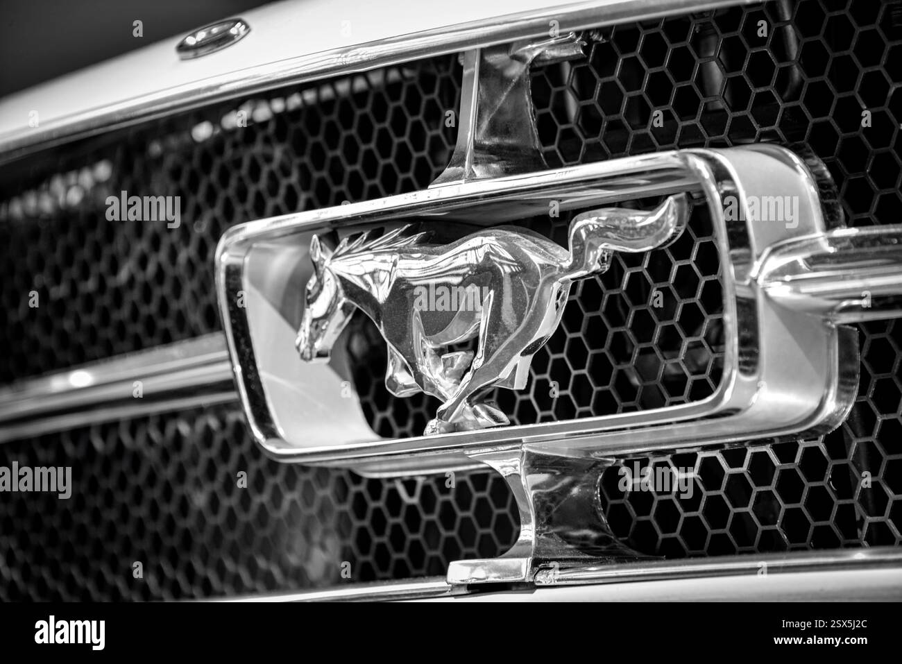 Ford Mustang logo on car at LeMay America's Car Museum in Tacoma ...
