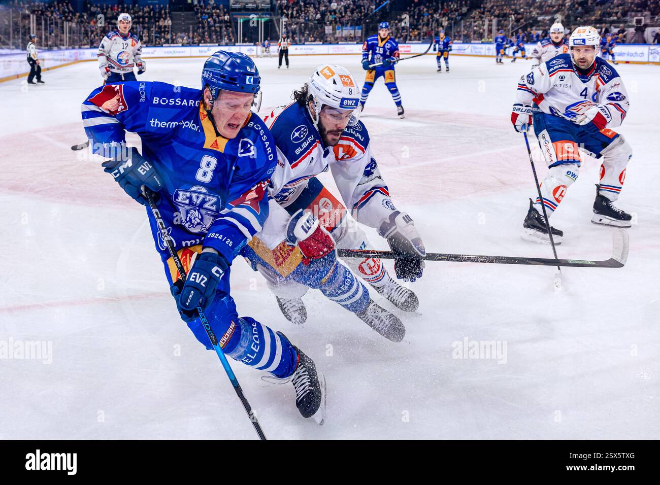 Fredrik Olofsson #8 (EV Zug) and Willy Riedi #8 (ZSC Lions) fight on ...