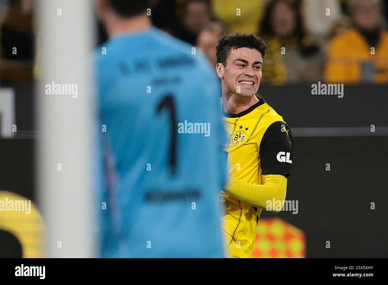 22.02.2025, 1. Bundesliga, 23. Spieltag, Borussia Dortmund - 1. FC ...
