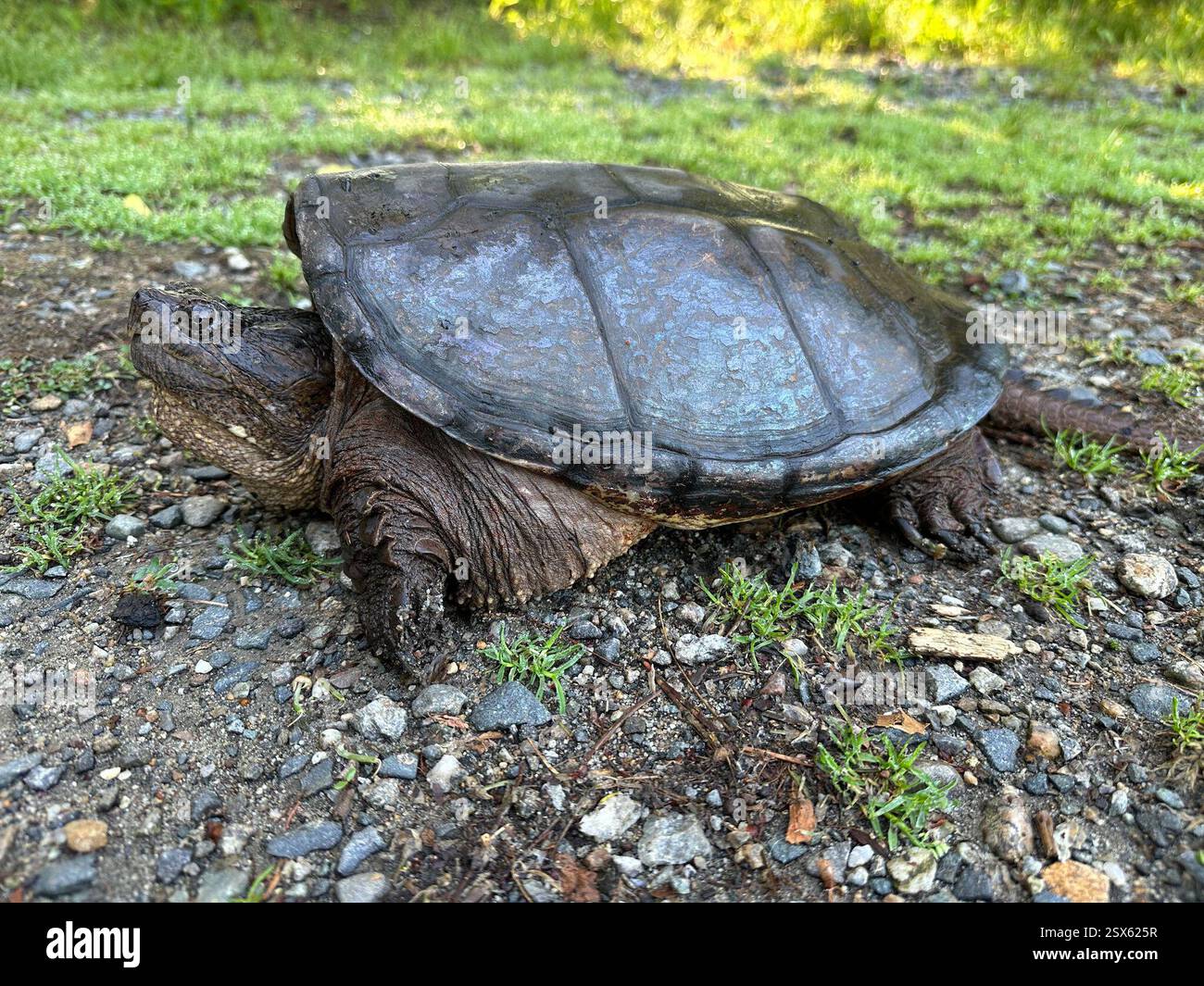 Woburn ma common hi-res stock photography and images - Alamy