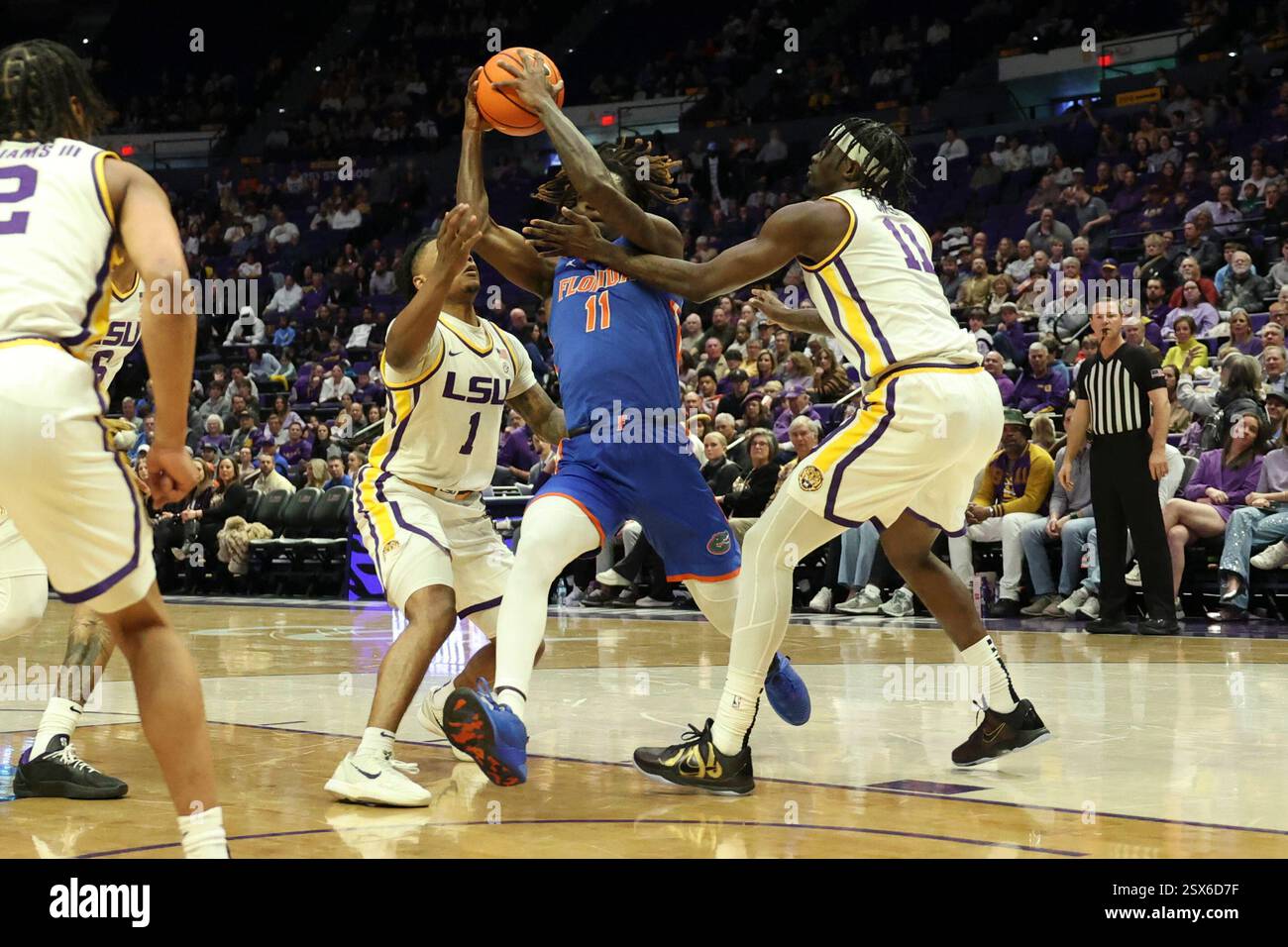 Florida Gators guard Denzel Aberdeen (11) tries to drive past LSU ...