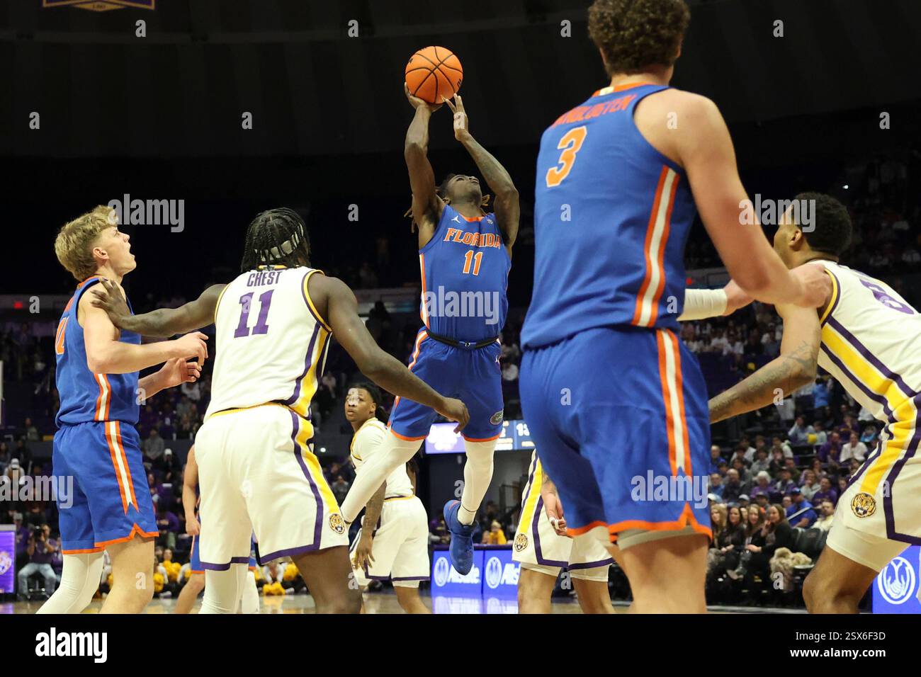 Baton Rouge, United States. 22nd Feb, 2025. Florida Gators guard Denzel ...
