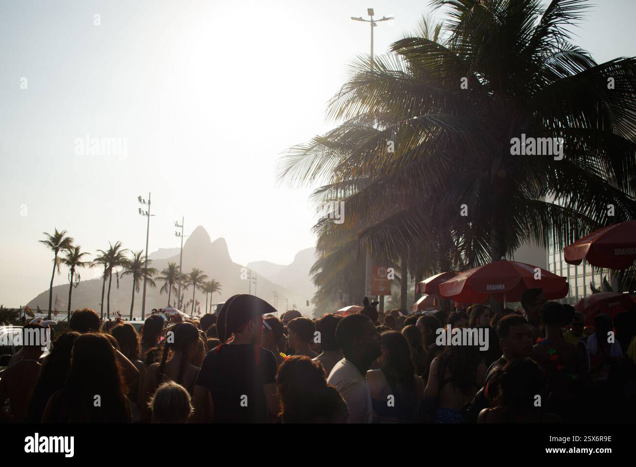 Rio De Janeiro, Brazil. 22nd Feb, 2025. Celebrators dance during the ...