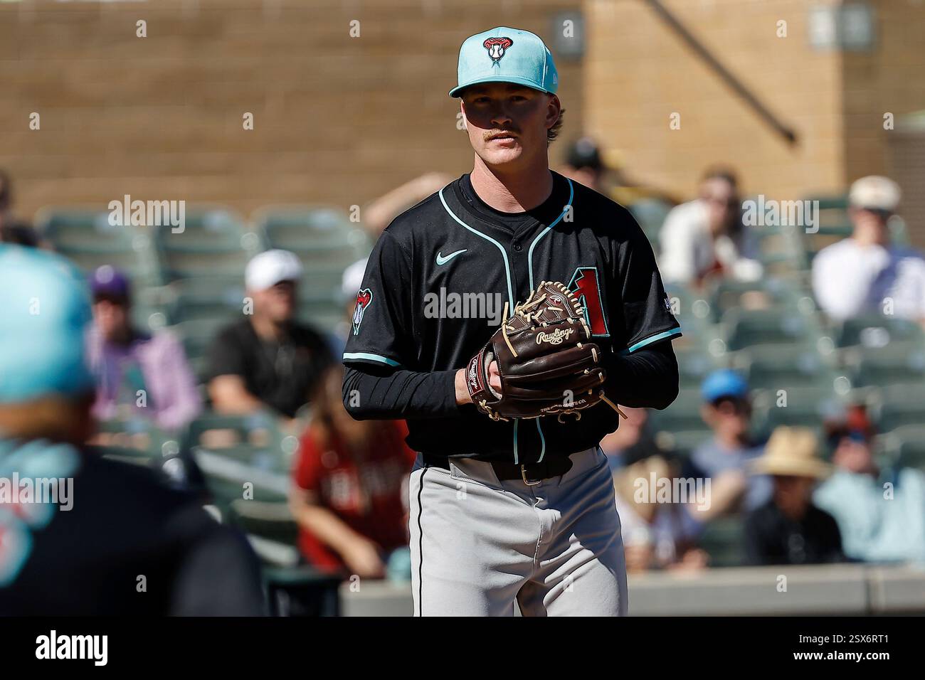 SCOTTSDALE, AZ - FEBRUARY 22: Arizona Diamondbacks pitcher Avery Short ...