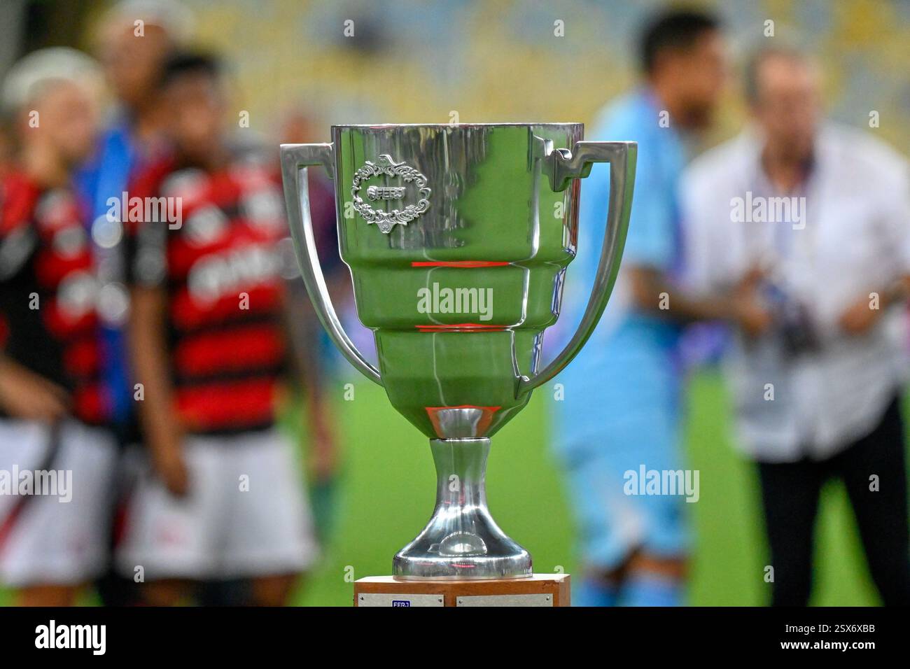 Rio De Janeiro, Brazil. 22nd Feb, 2025. Cup during Flamengo x Marica ...