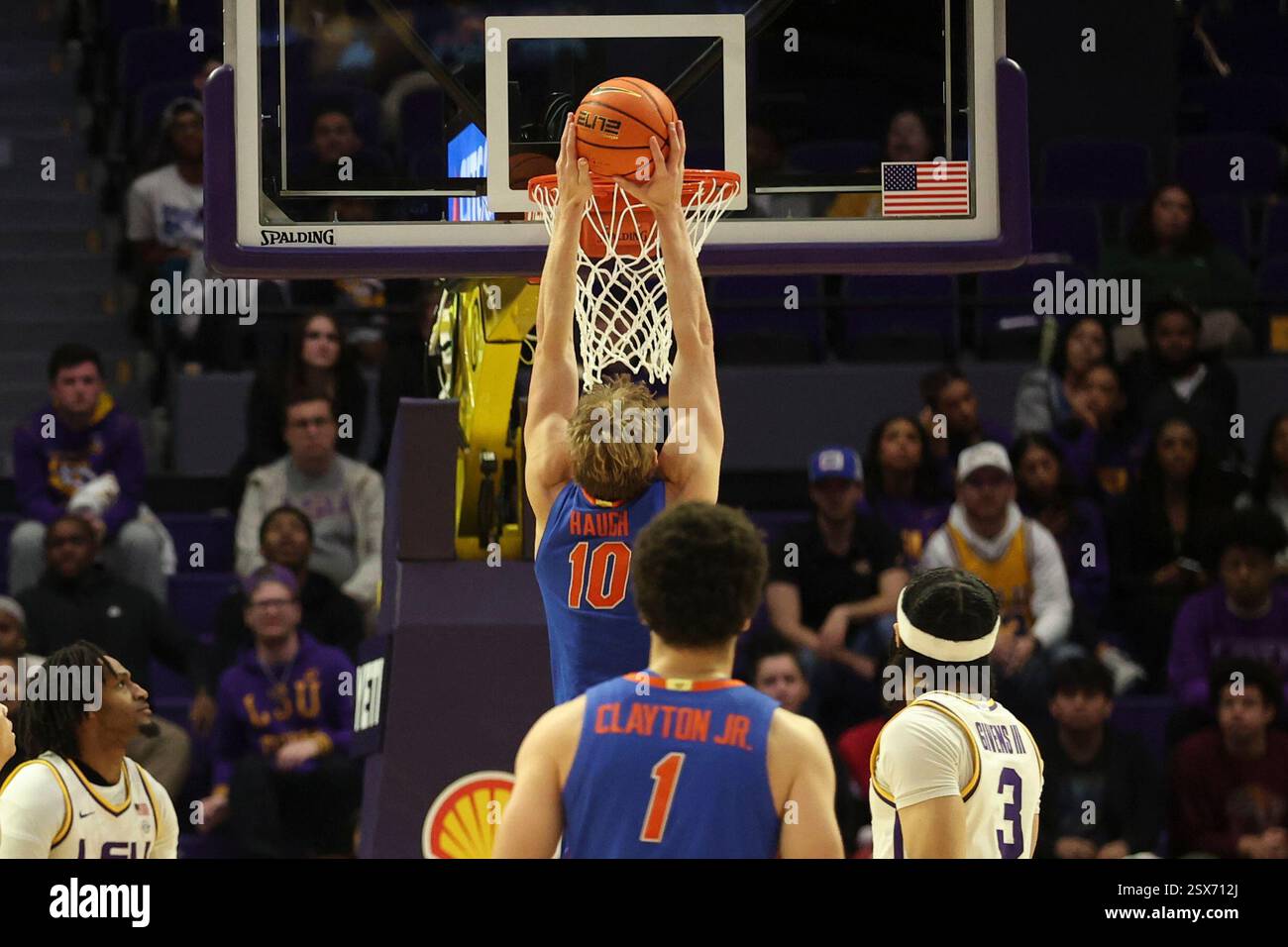 Baton Rouge, United States. 22nd Feb, 2025. Florida Gators forward ...
