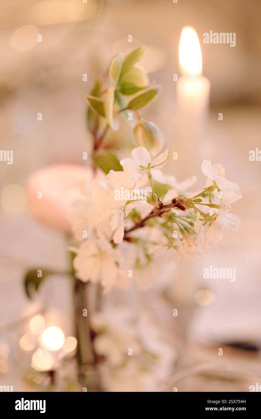 Candlelight enhance hi-res stock photography and images - Alamy