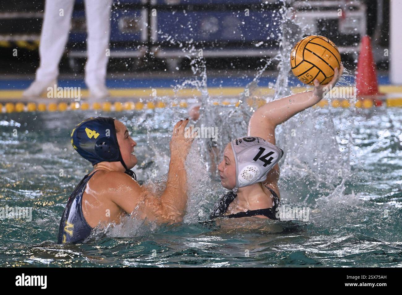 Turin, Italy. 22nd Feb, 2025. Turin, Italy - 22 February 2025, Stadio ...