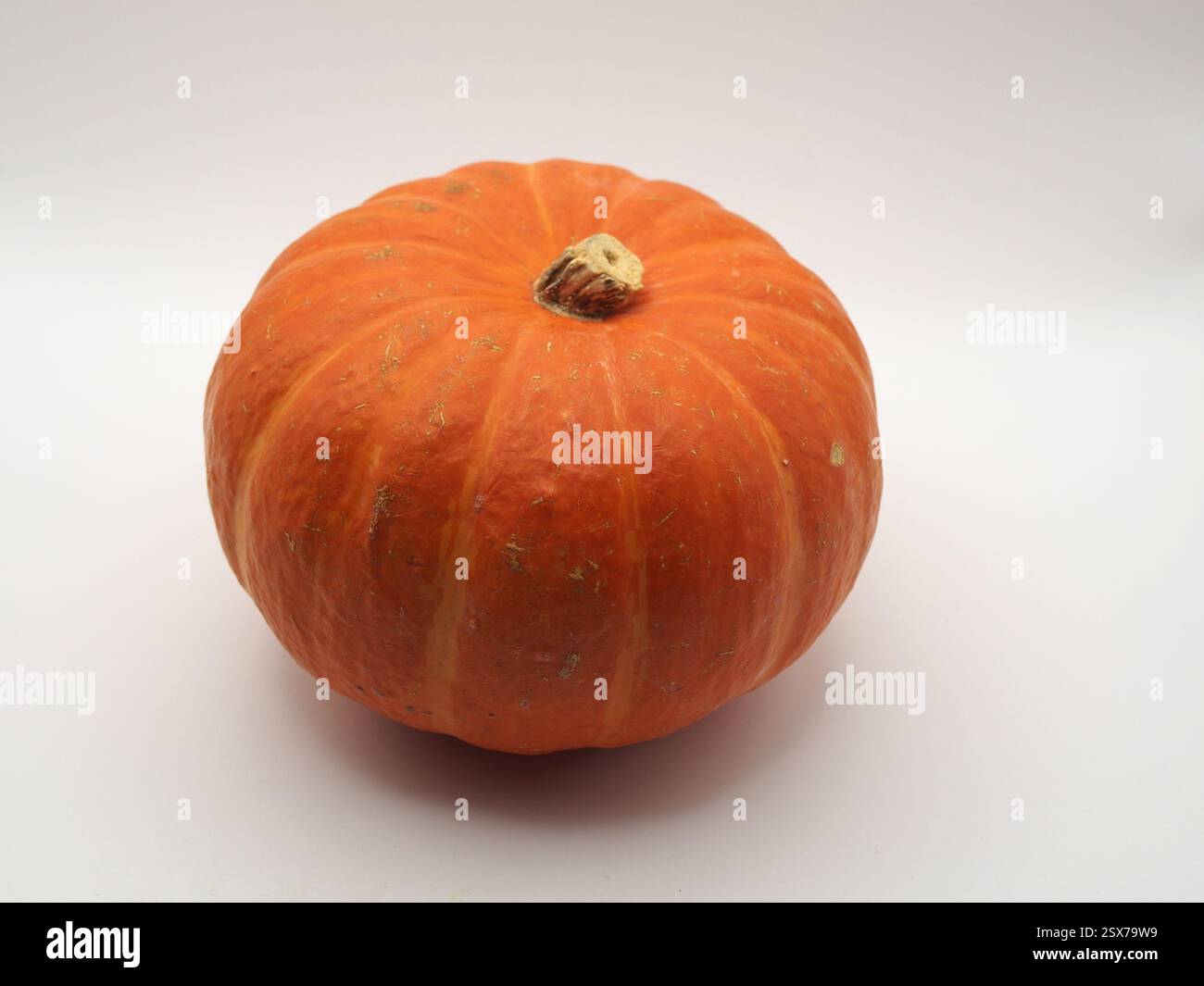 Isolated close-up of an organic red kuri squash, also known as orange ...
