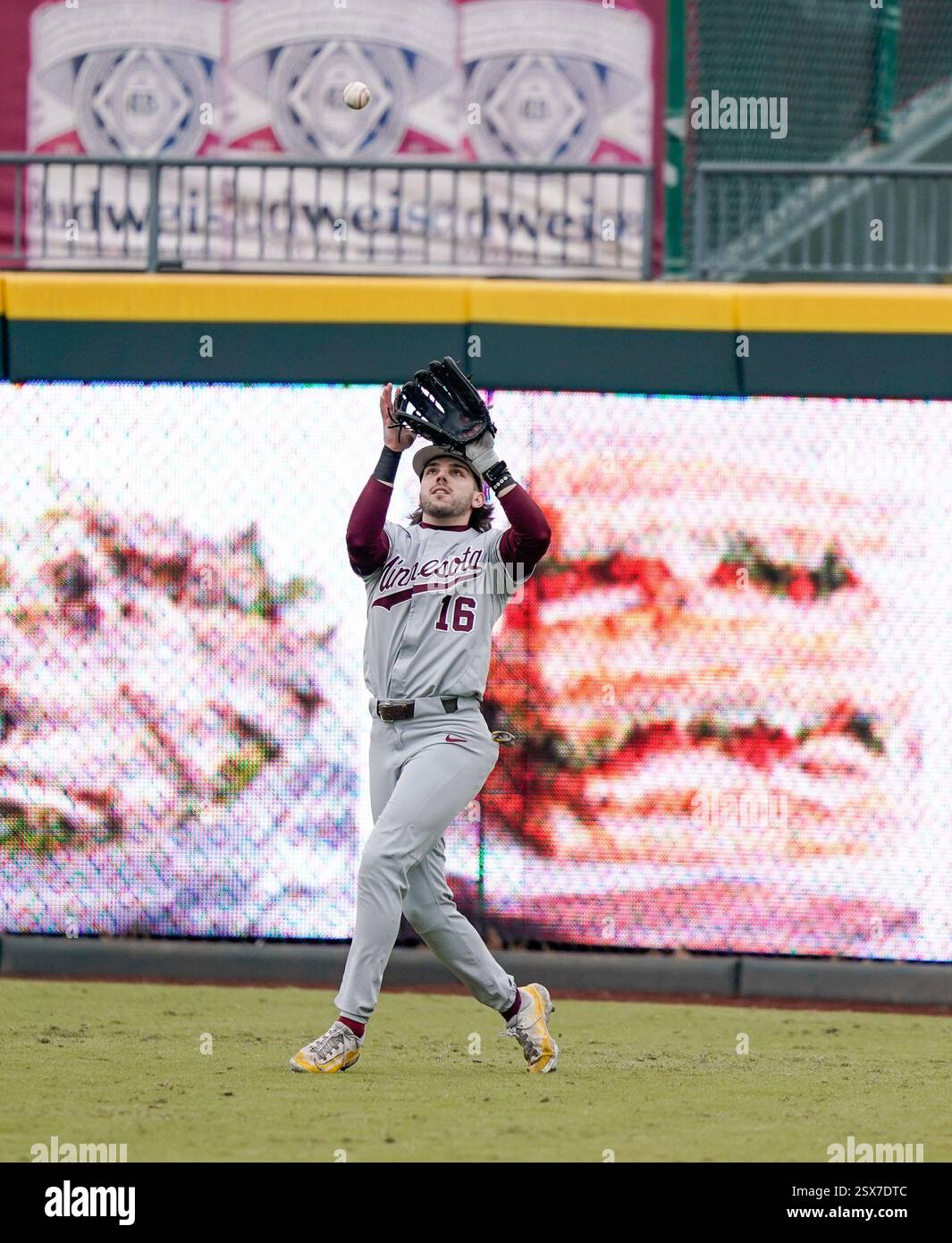 Minnesota Golden Gophers outfielder Josh Fitzgerald (16) catches a fly ...