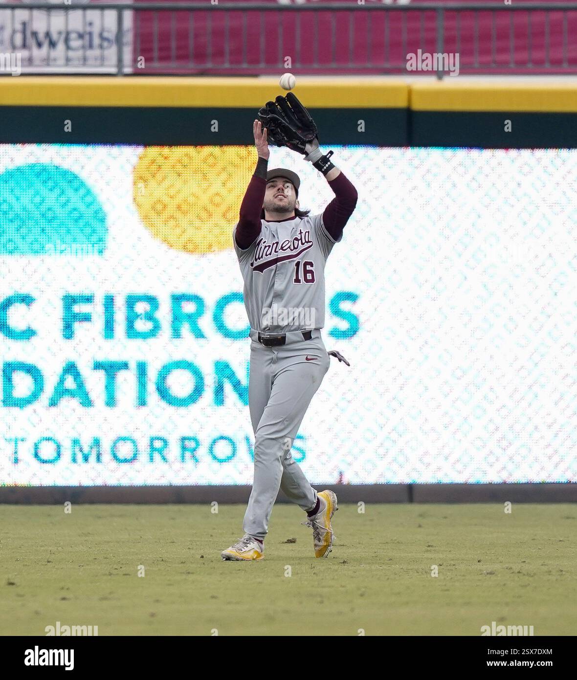 Minnesota Golden Gophers outfielder Josh Fitzgerald (16) makes a catch ...
