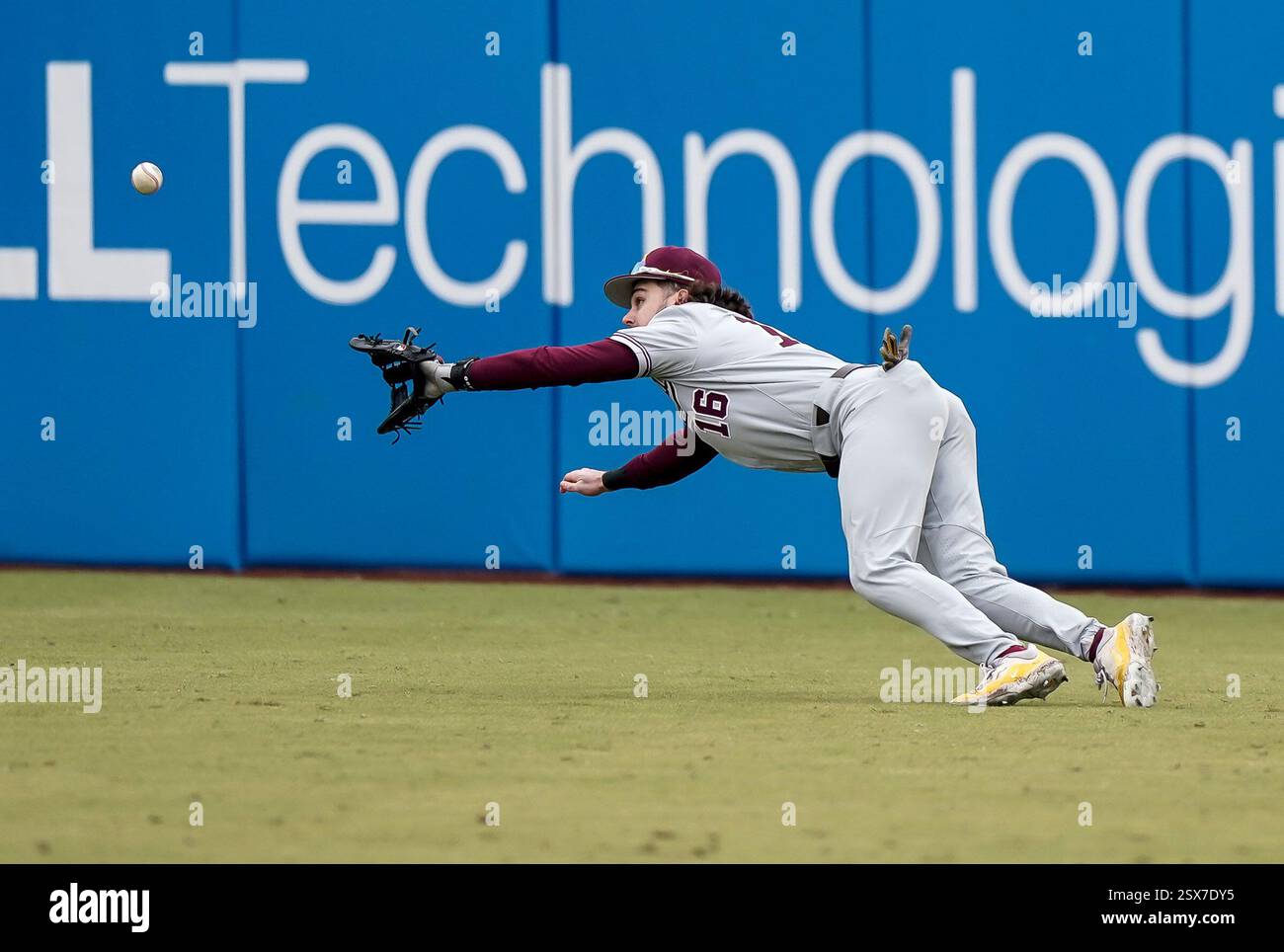 Minnesota Golden Gophers outfielder Josh Fitzgerald (16) dives for a ...
