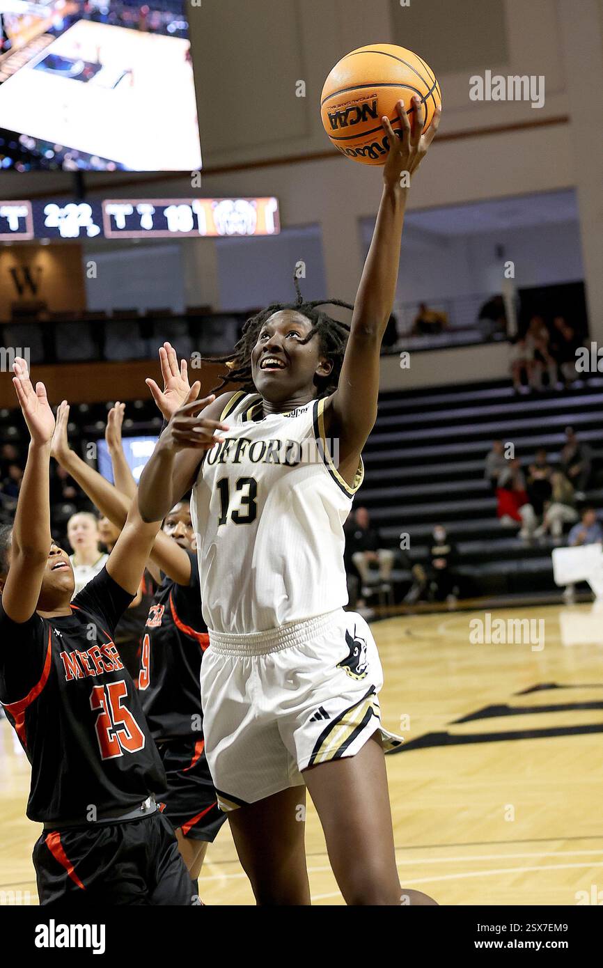 SPARTANBURG, SC - FEBRUARY 22: Wofford Terriers forward Toni Warren (13 ...