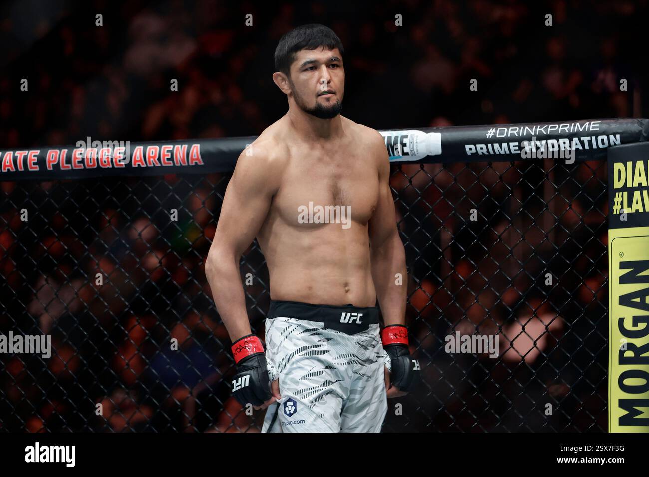 February 22, 2025, Seattle, Washington, USA: NURSULTON RUZIBOEV and ...