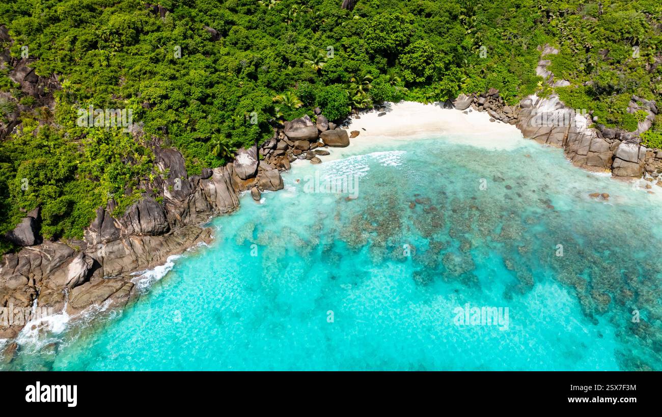 Emerald forest meets crystal clear bay with a rocky shoreline, creating ...