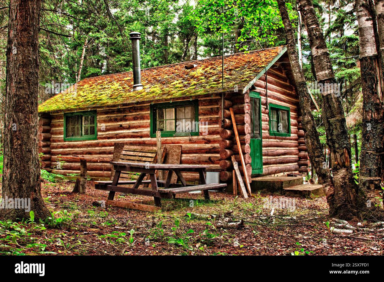Log cabin with a green roof sits in a forest. The cabin has a bench and ...