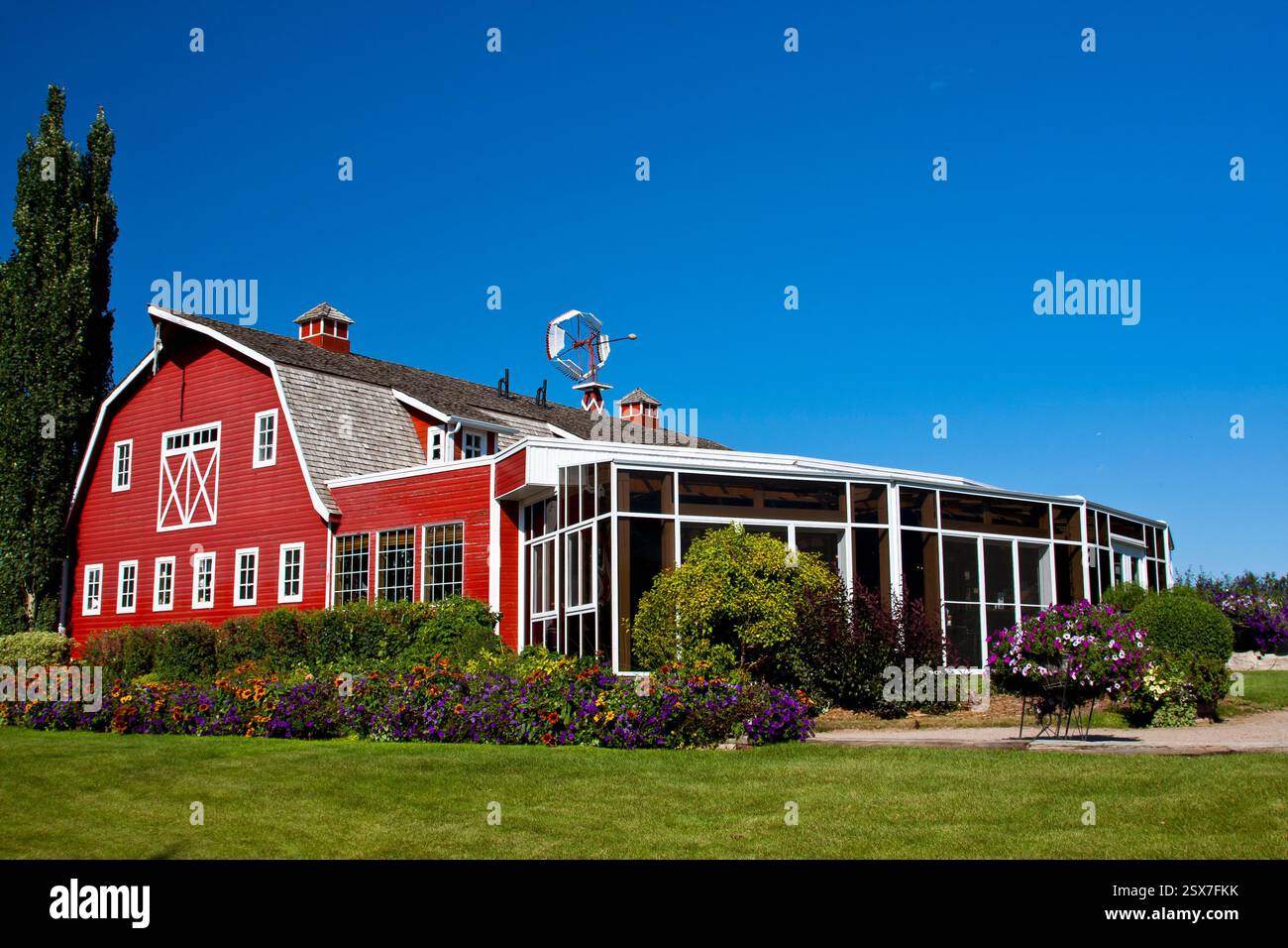 Red barn with a white roof and a windmill on top. The barn is ...