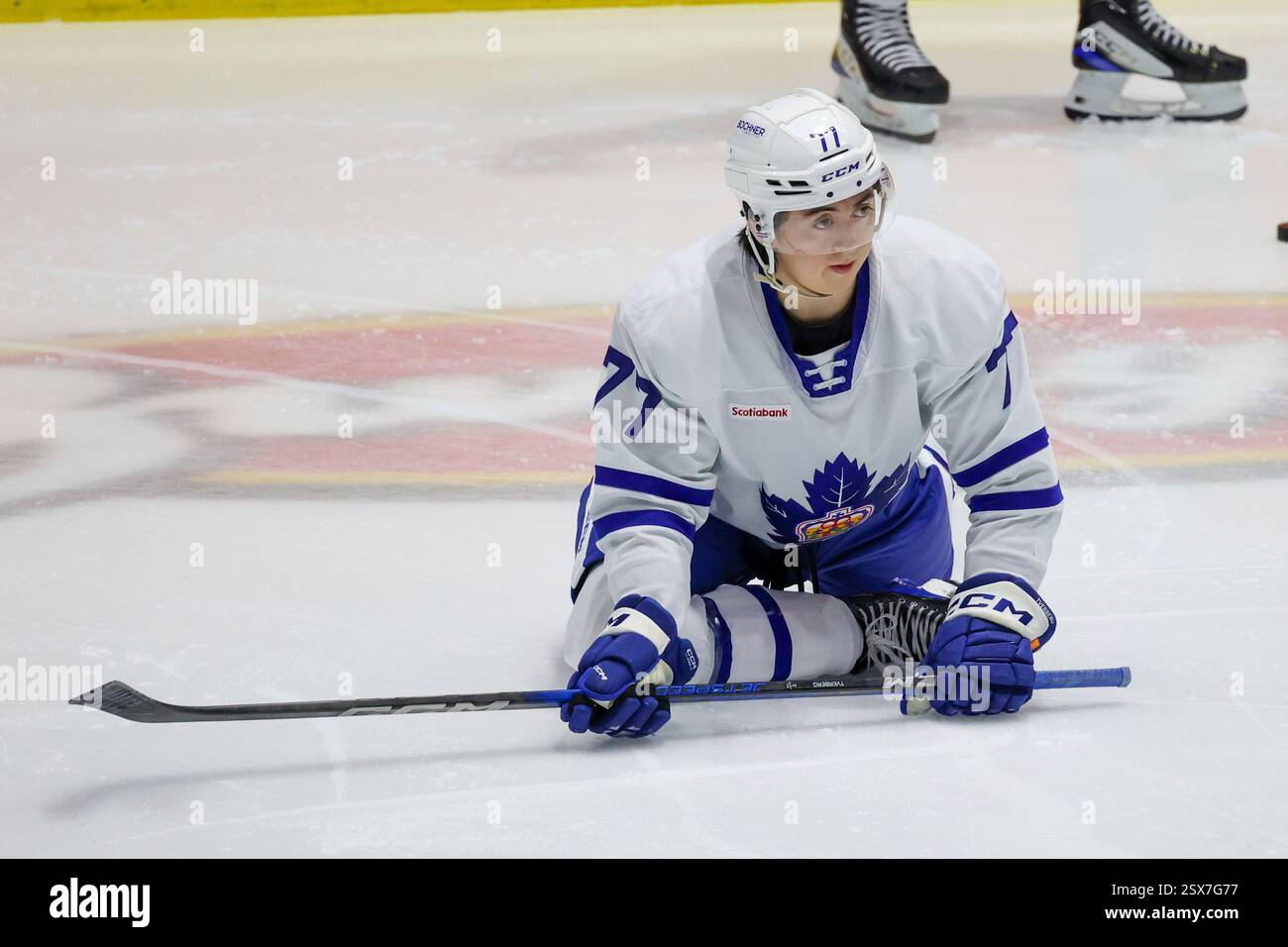 February 22nd 2025: Toronto Marlies forward Ryan Tverberg (77 ...