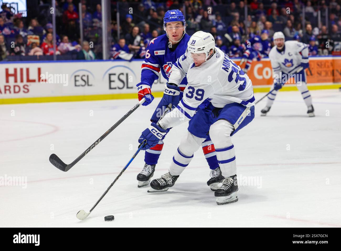 Rochester, New York, USA. 22nd Feb, 2025. Toronto Marlies forward ...