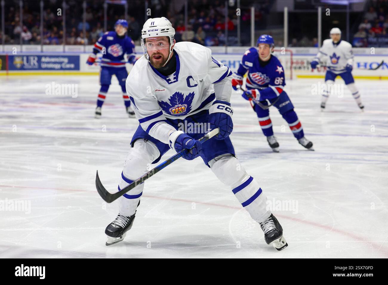 Rochester, New York, USA. 22nd Feb, 2025. Toronto Marlies forward Logan ...