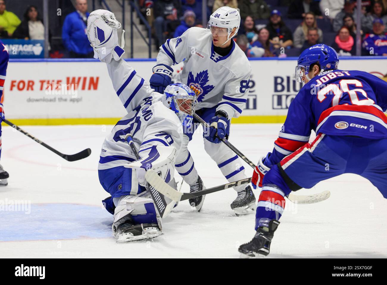 February 22nd 2025: Toronto Marlies goaltender Artur Akhtyamov (70 ...