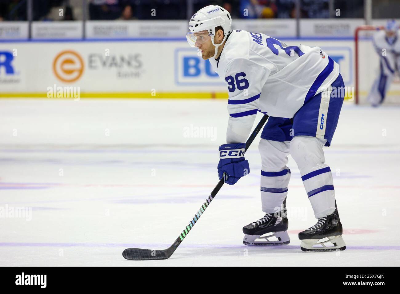 Rochester, New York, USA. 22nd Feb, 2025. Toronto Marlies defenseman ...