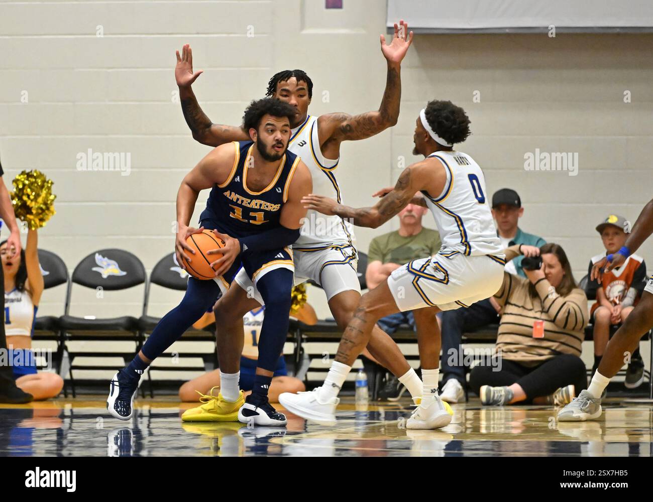 BAKERSFIELD, CA - FEBRUARY 22: UC Irvine Anteaters forward Devin Tillis ...