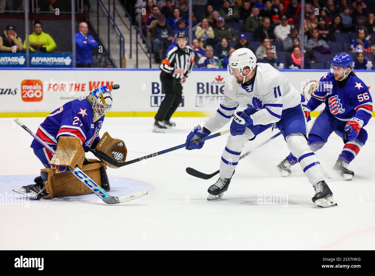 February 22nd 2025: Toronto Marlies forward Logan Shaw (11) takes a ...
