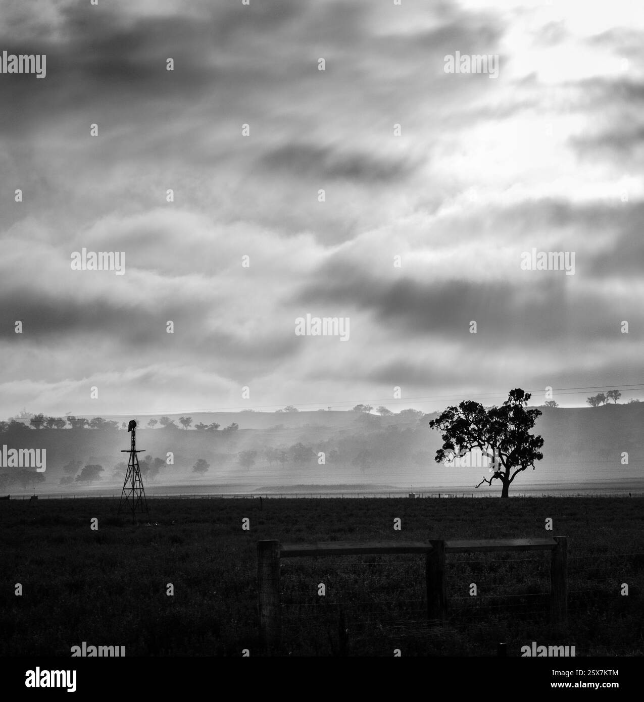 View field corn Black and White Stock Photos & Images - Alamy