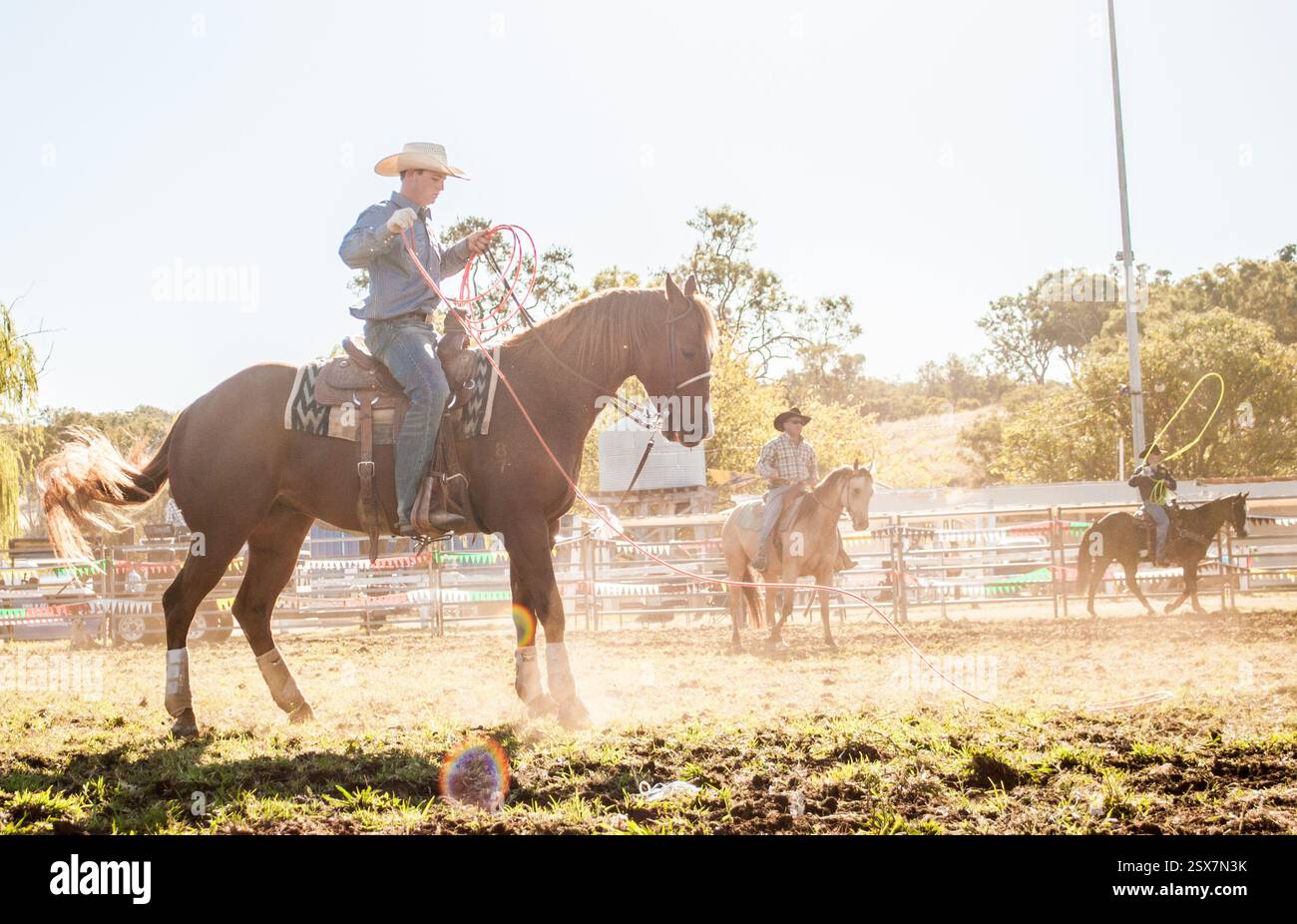 Texas cowboy lasso vintage hi-res stock photography and images - Alamy