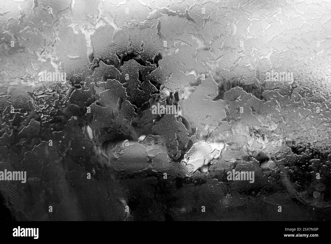 Soft window light Black and White Stock Photos & Images - Alamy