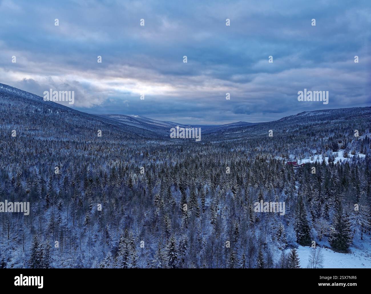 Huge wooded areas, mixed forest covered in snow, characterise the ...