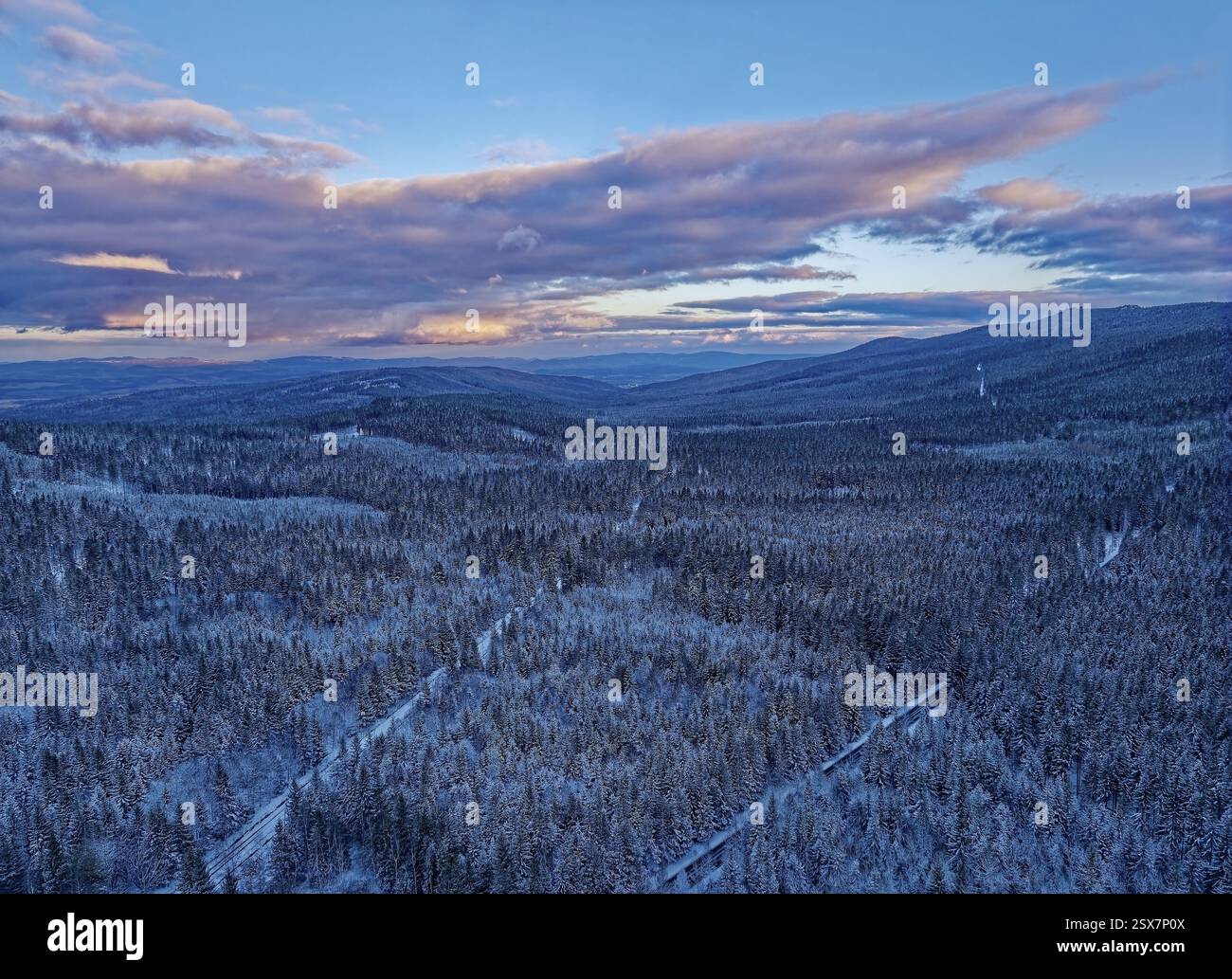 Huge wooded areas, mixed forest covered in snow, characterise the ...