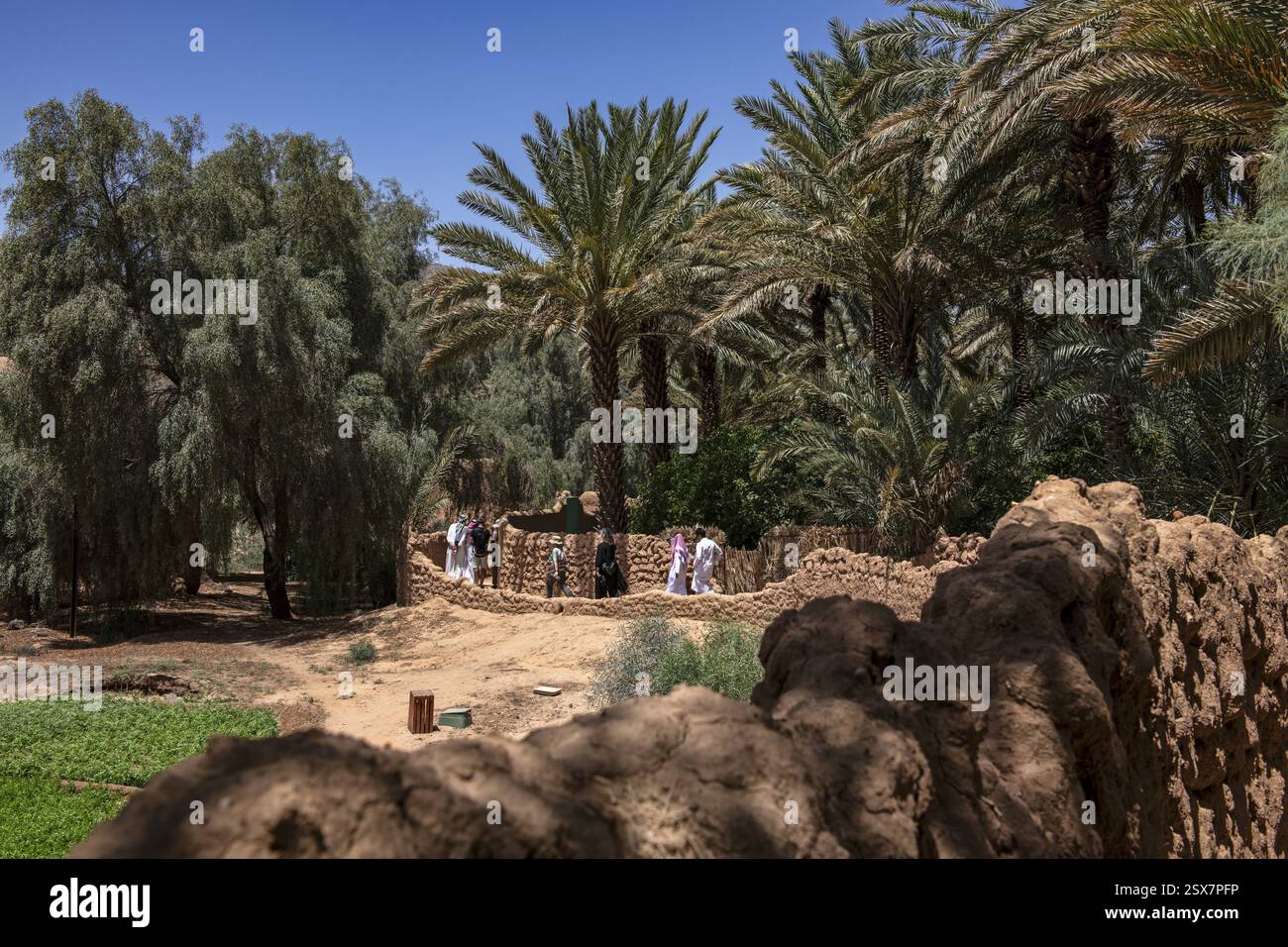 Tour group on the Heritage Trail in the oasis, Daimumah Park, Al Ula ...
