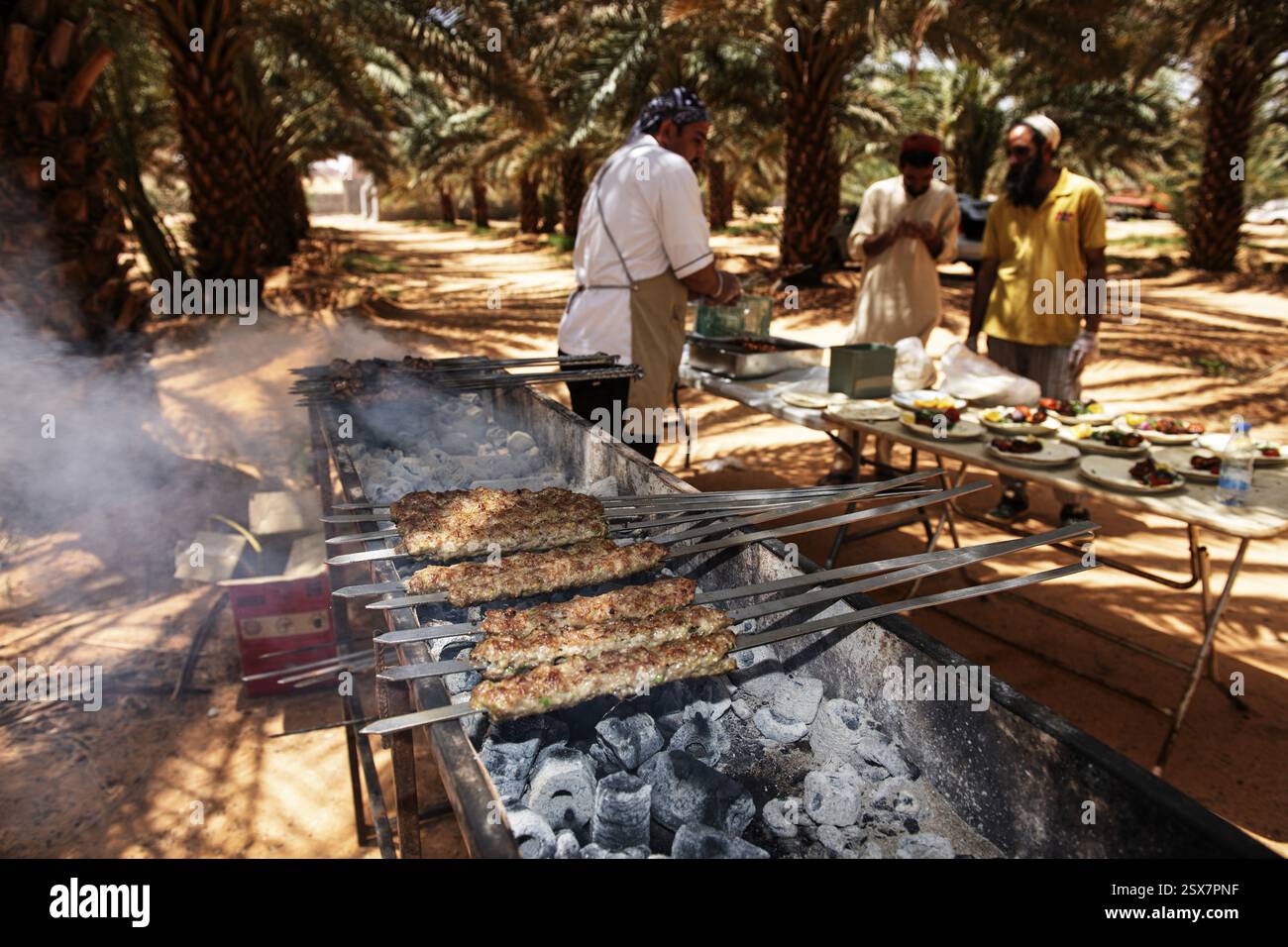 Meat skewers over the grill in the Al Ula Oasis, Kingdom of Saudi ...