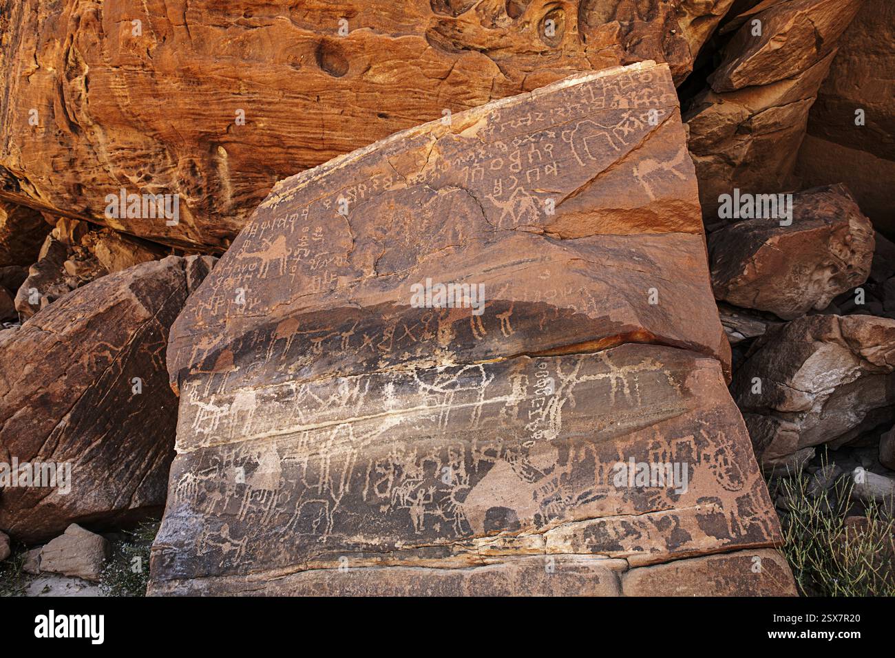 Petroglyphs, rock carvings in the vicinity of the Eco Luxury Hotel Our ...
