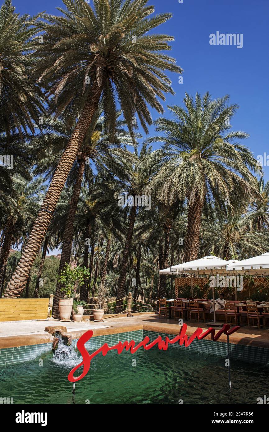 Pool under palm trees, Restaurant Somewhere, Old Town, Al Ula, Saudi ...