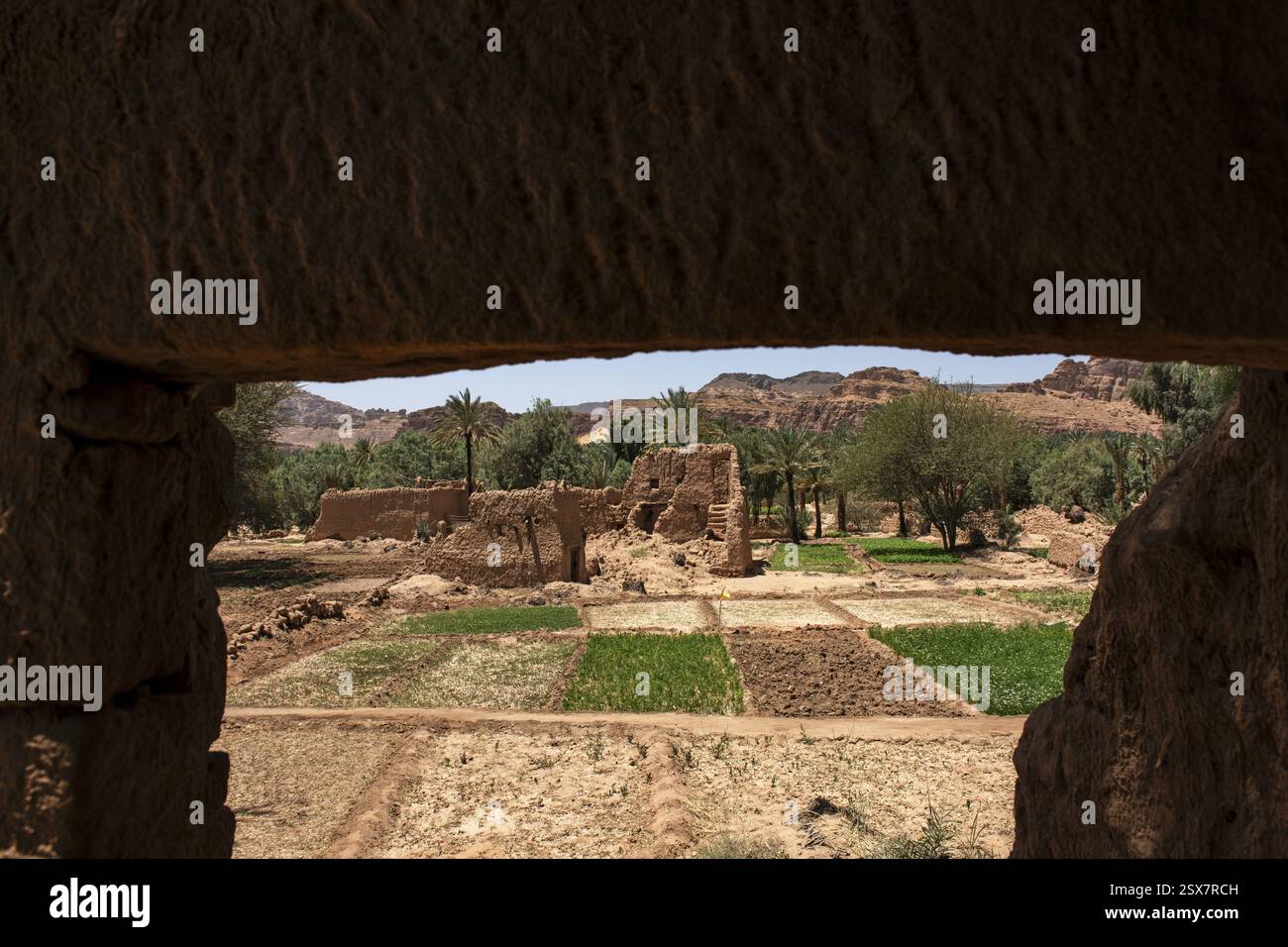Ruins and fields along the Heritage Trail in the oasis, Daimumah Park ...