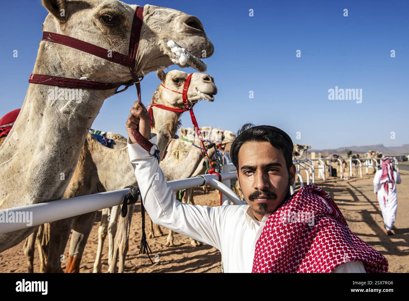 Sheikh with his racing camel at the Al Ula Camel Cup in the Mughayra ...