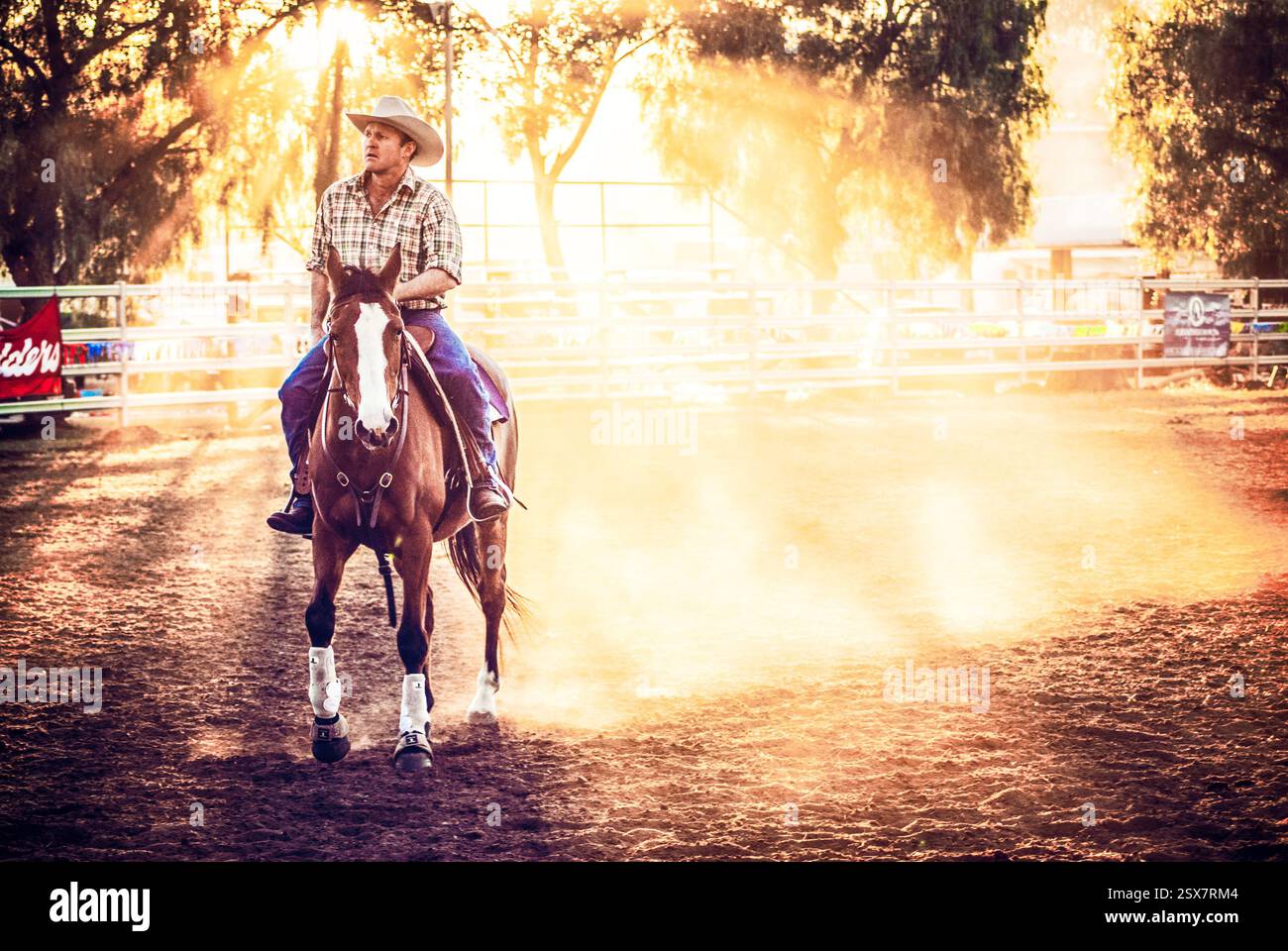 cowboy riding a horse at sunset Stock Photo - Alamy