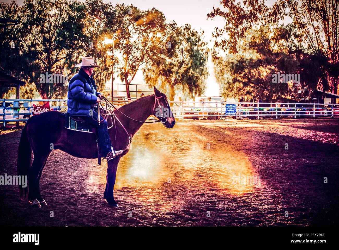 cowboy riding a horse at sunset Stock Photo - Alamy