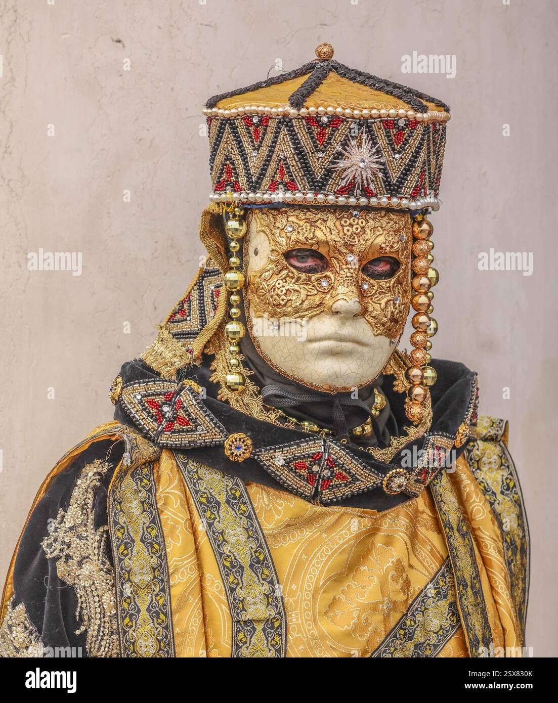 Venice, Italy. 23rd Feb, 2025. Carnival goers dressed in splendid ...