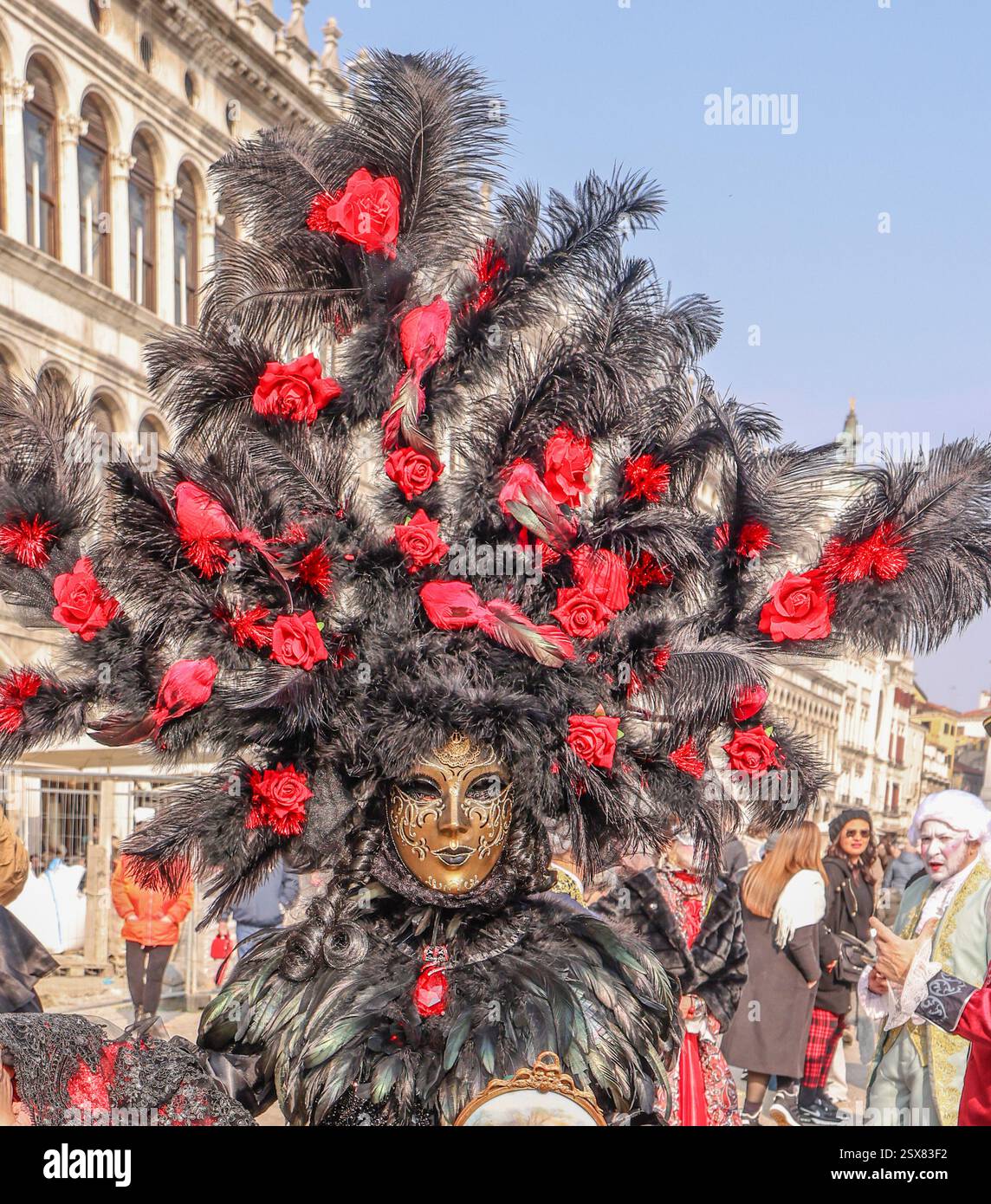 Venice, Italy. 23rd Feb, 2025. Carnival goers dressed in splendid ...