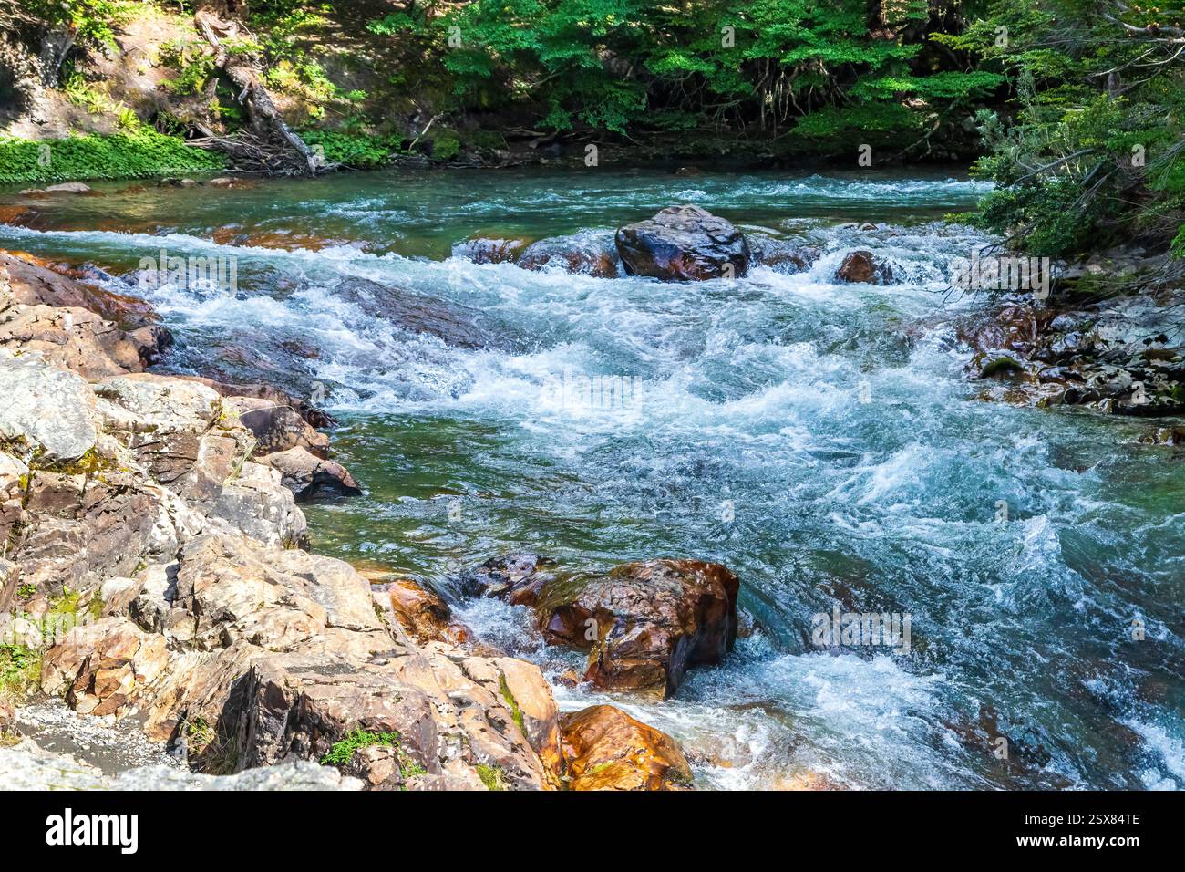 Mountain stream in the hills of Tierra del Fuego, just outside Ushuaia ...
