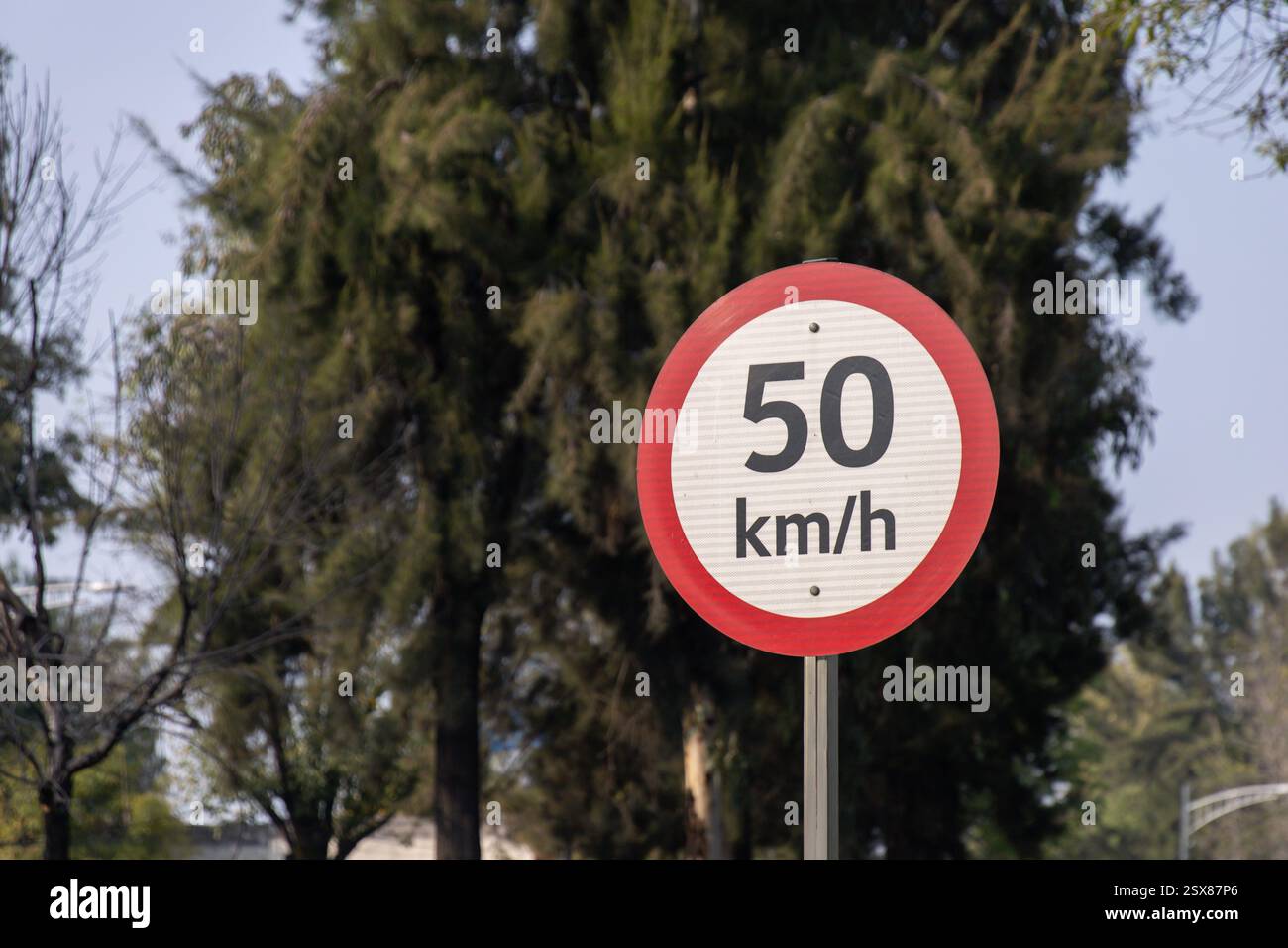 50 km per hour speed limit sign with a red border stands on a roadside ...