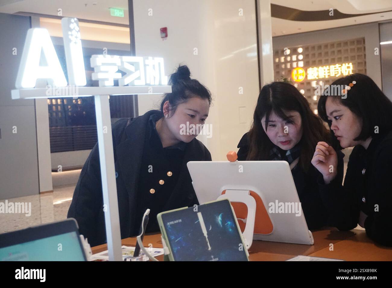 HANGZHOU, CHINA - FEBRUARY 23, 2025 - Customers buy AI learning ...