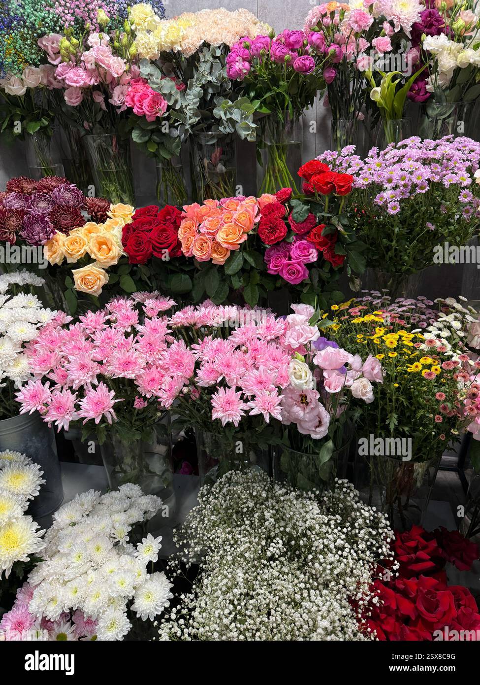 Showcase flowers in vases hi-res stock photography and images - Alamy